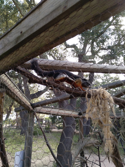 Bia vai a sítios #3 - Pajozinhos