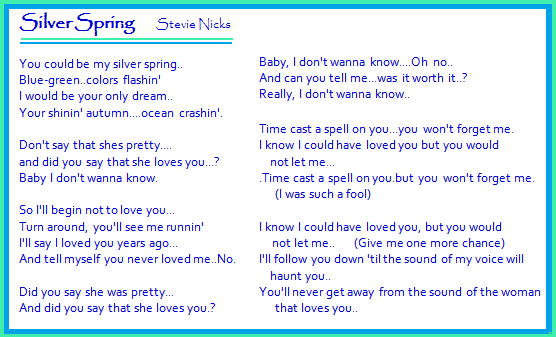 Listen Here: ⦿ Silver Spring- Stevie Nicks--F. Mac '97 {lyrics ...