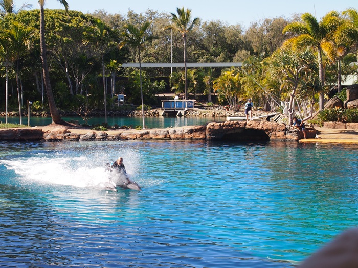 loves-jing.blogspot.com: Queensland - Gold Coast 2014 - Sea World
