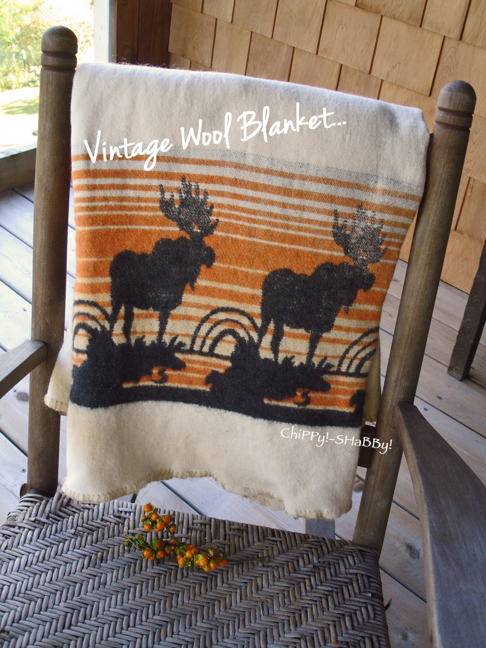 ChiPPy! - SHaBBy!: Vibrant P*L*A*I*D*S for F*A*L*L...