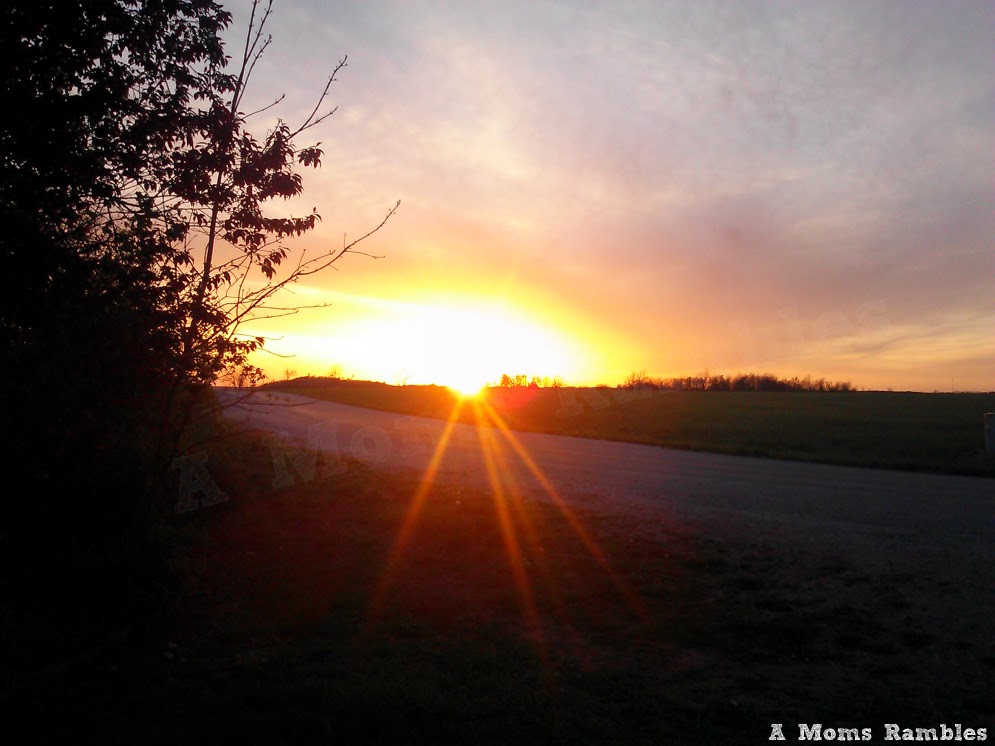 A Mom's Rambles: Summer Activities for the Entire Family!