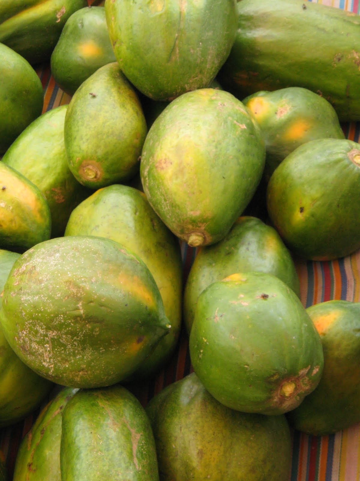 bucaio: Apayas, Ponti, Pinya