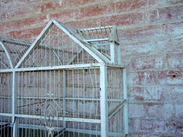 My Old Historic House: BIRDCAGES - Flights of Fancy