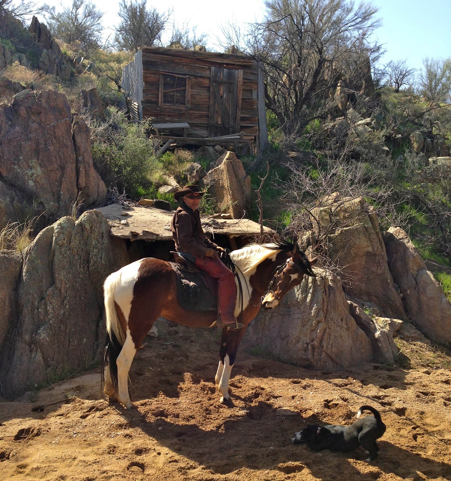 Camping and Horses : Bumble Bee Arizona