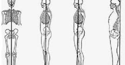 Educación Física: ALINEACIÓN POSTURAL (Dirección de Educación Física ...