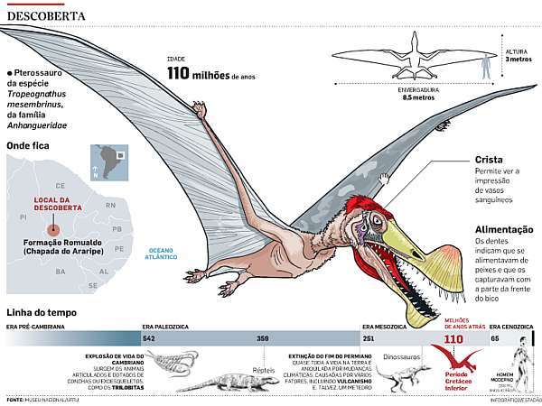Argonauta: Pterossauros - primeiros vertebrados voadores