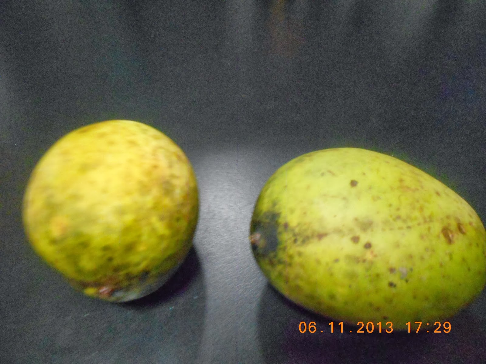 namakucella: BAU-BAU BACANG.....