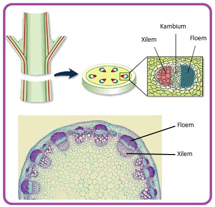 CikGu ReMy: [Quick Revision] F3 - Chapter 2