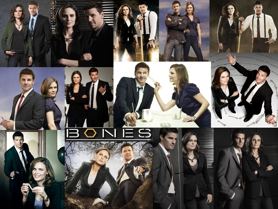 Bones Poster Gallery2 | Tv Series Posters and Cast