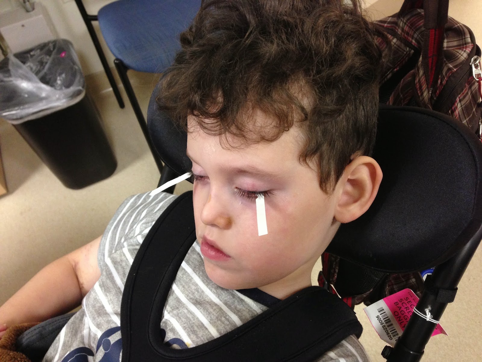 Lynne Wolfe's Instagram, Twitter & Facebook on IDCrawl