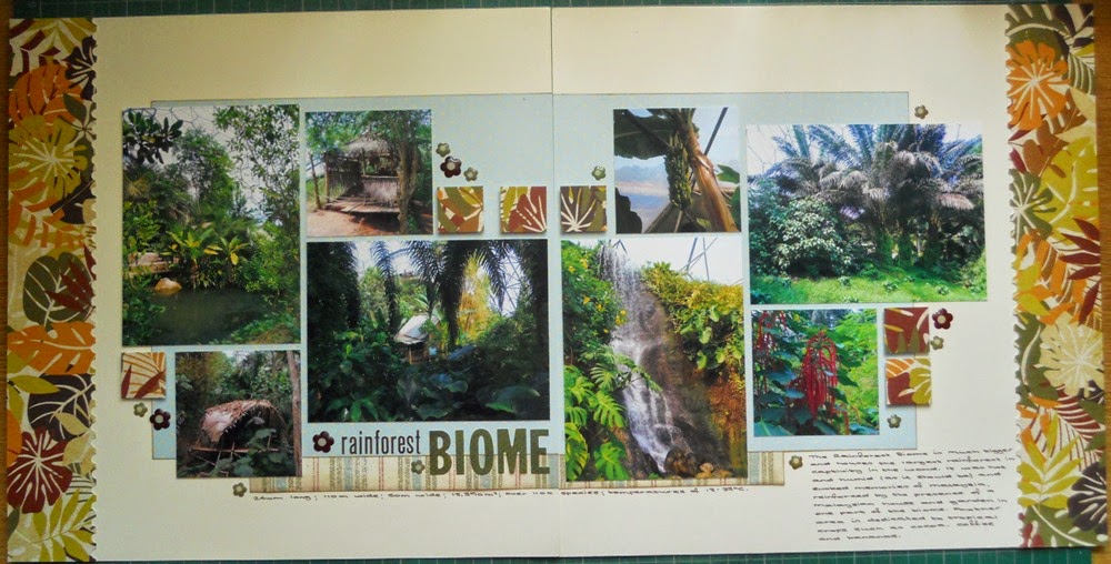 Amanda's Scrapbook Pages: Rainforest Biome