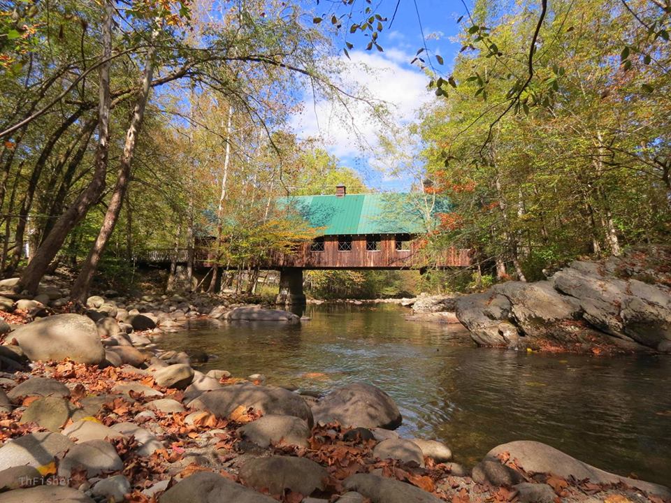 @Three Family Trees: Col Robert Bolling 1646-1709