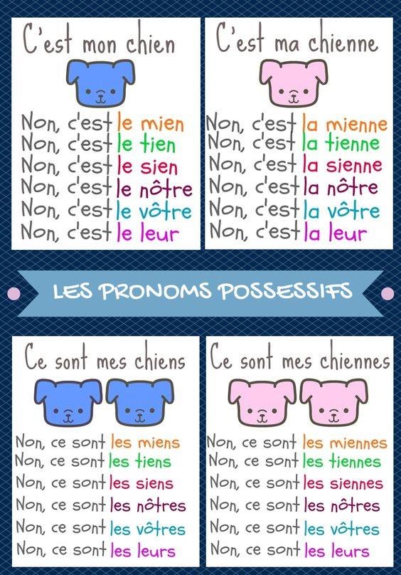 Apprenons le français : Pronoms possessifs