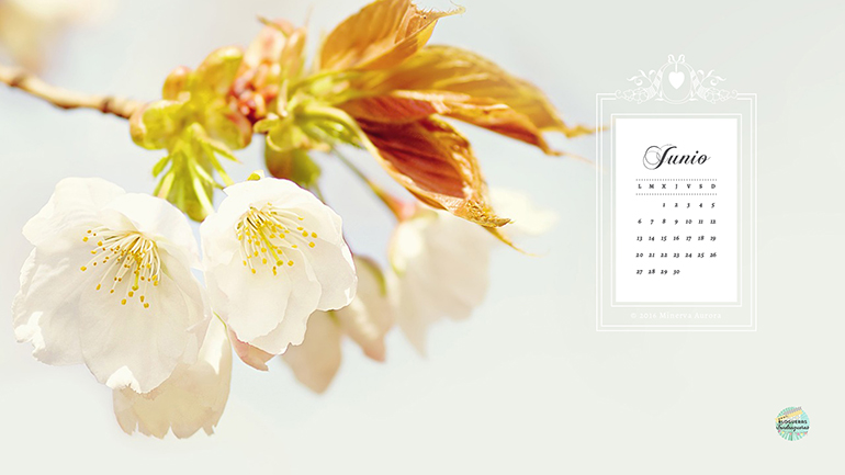 Fondos de pantalla para junio - Odisea gráfica