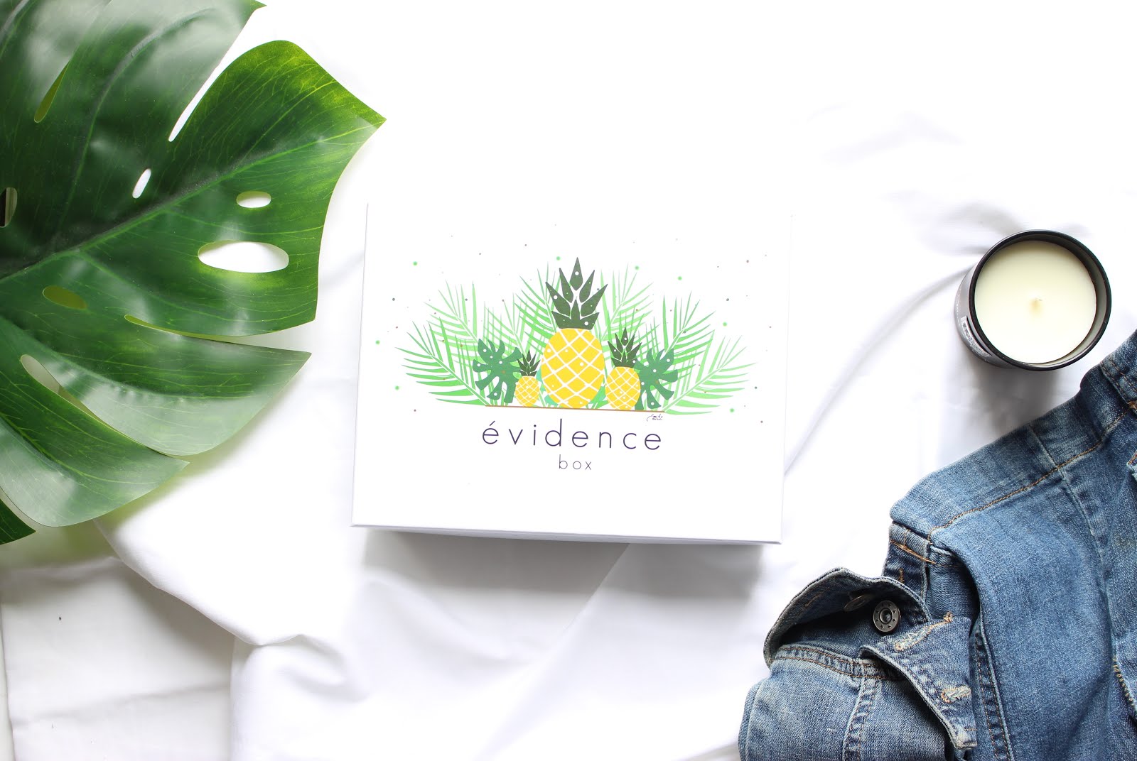 Evidence-box-juin-149