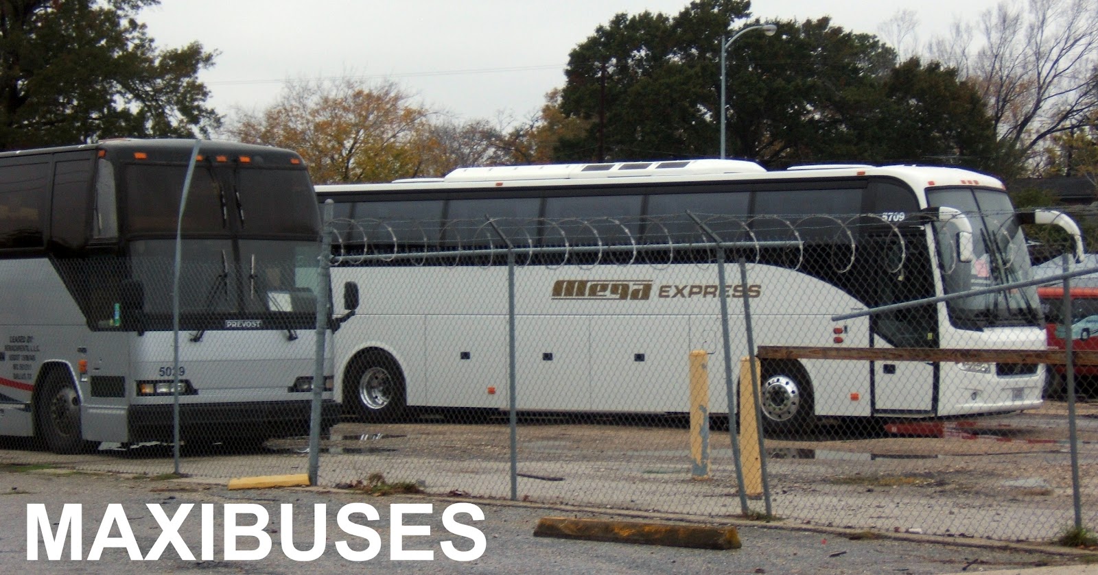 MAXIBUSES: OMNIBUS EXPRESS