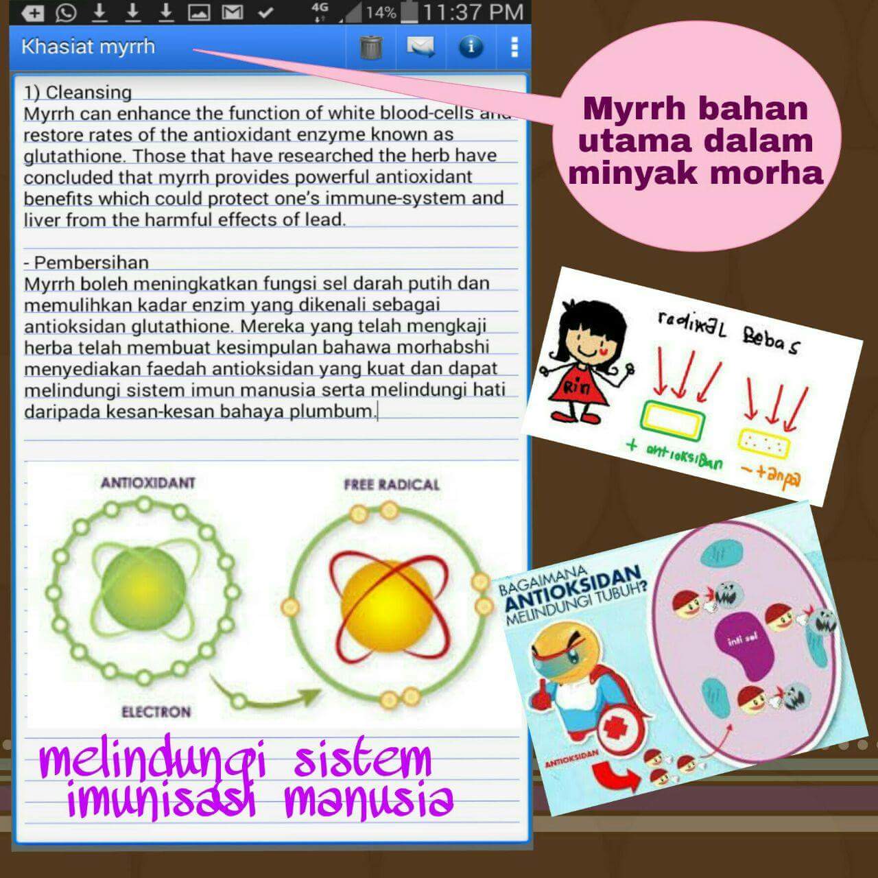 Dah ada Minyak Morha?: Khasiat unik myrrh