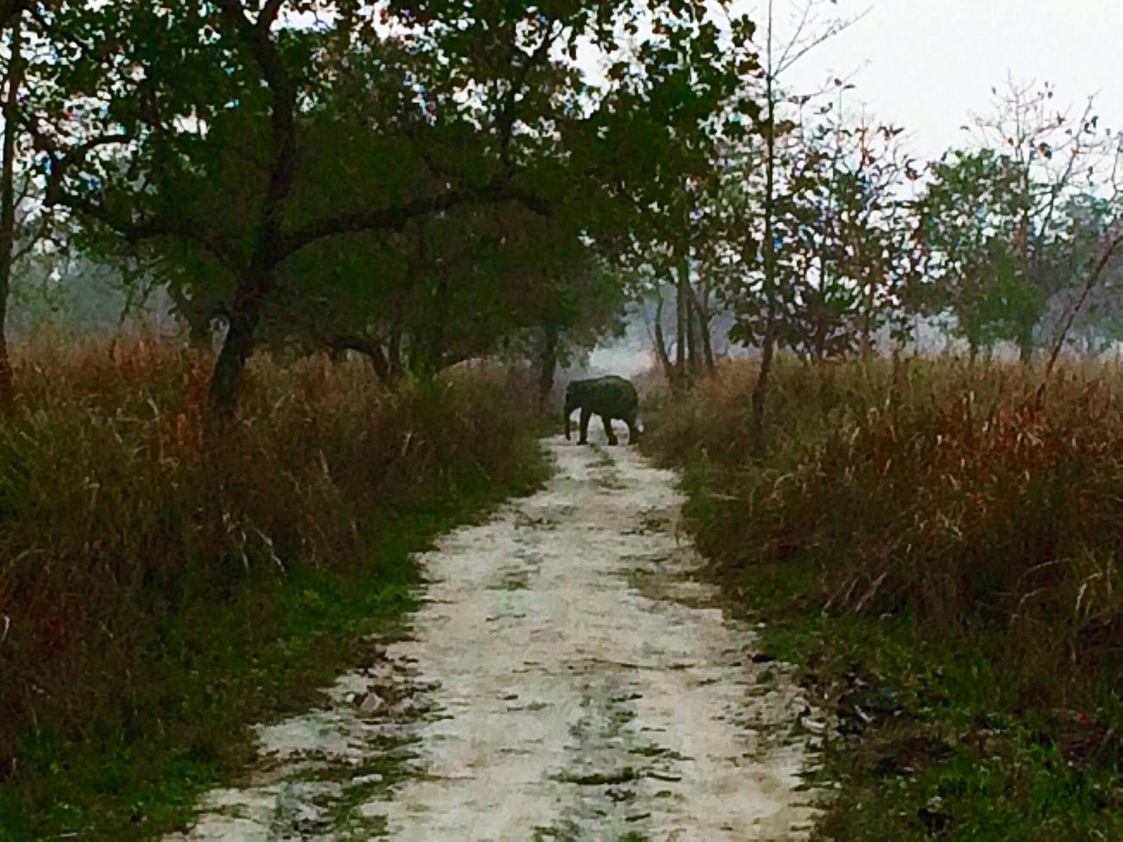 Explore Indialand: Upper Mathanguri and Lower Mathanguri Forest Rest ...