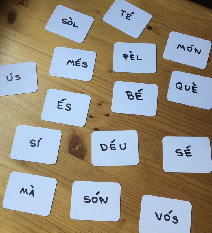 Apunts de Llengua i Literatura Catalana: Instruccions