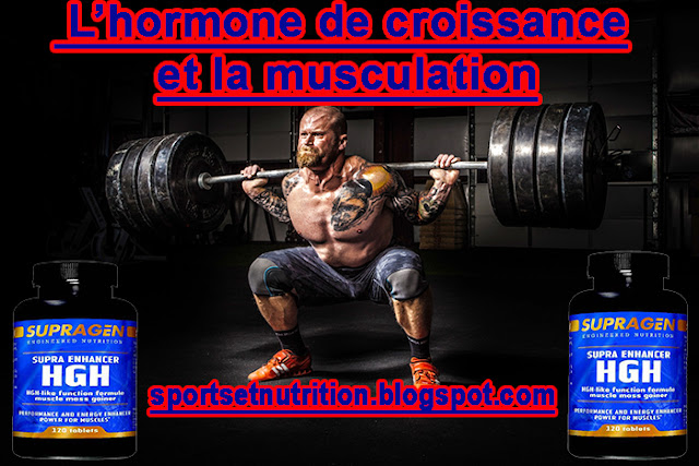 L’hormone de croissance et la musculation ~ Sport et Santé