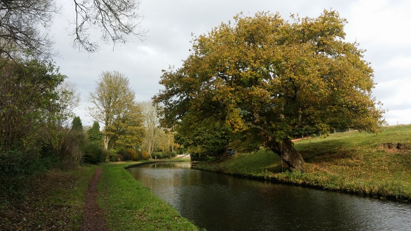 Lucy's Wednesday walks: A tearoom walk! Kinver to Wolverley along the ...