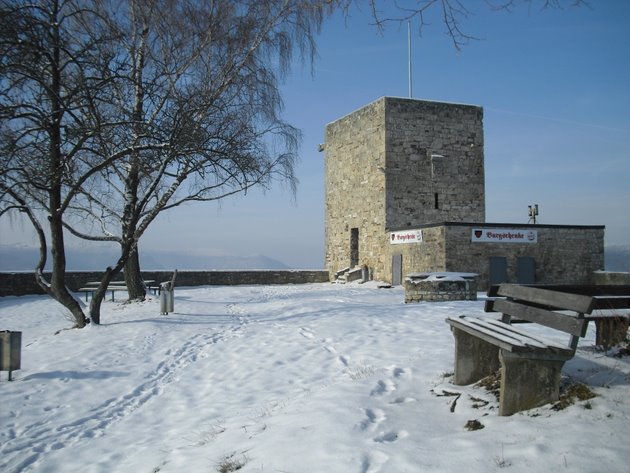 Die Schwäbische Alb und ihre Natur: Aussicht von der Burgruine ...