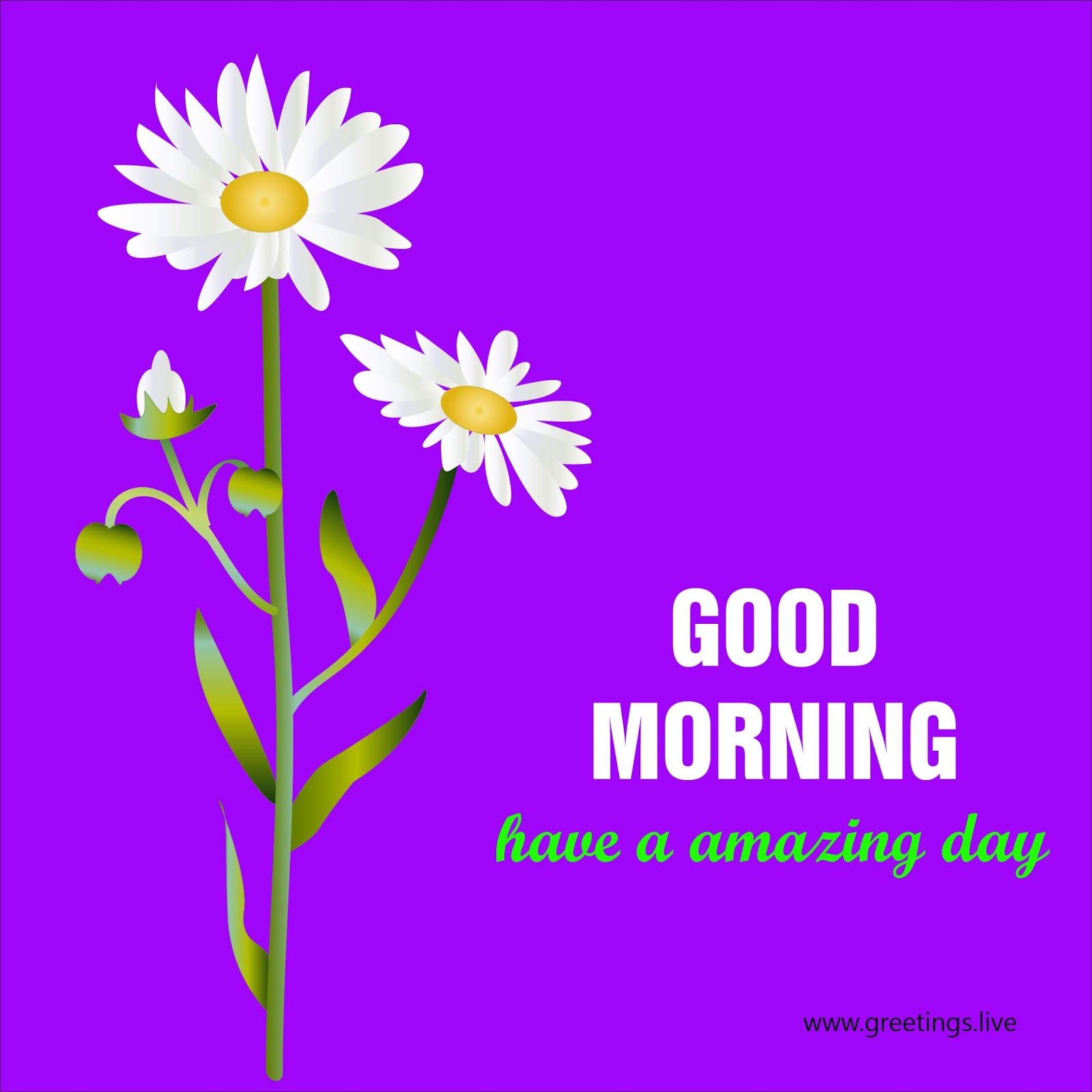 Greetings Live Free Daily Greetings Pictures Festival GIF Images Have greetings-live-free-daily-greetings-pictures-festival-gif-images-have