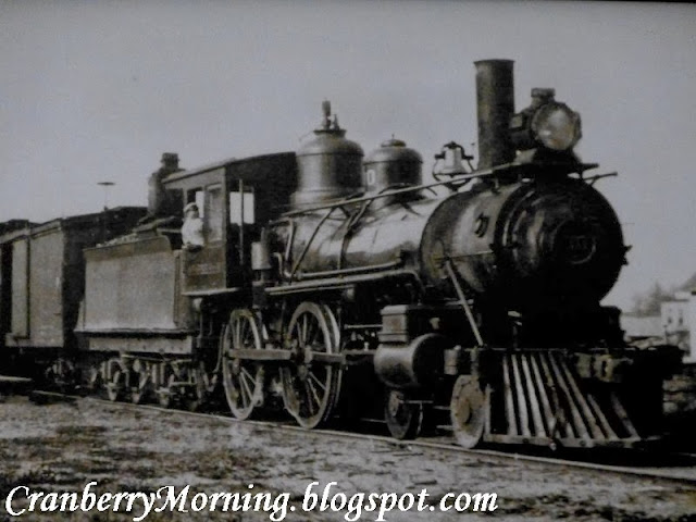 Cranberry Morning: The Blueberry Train