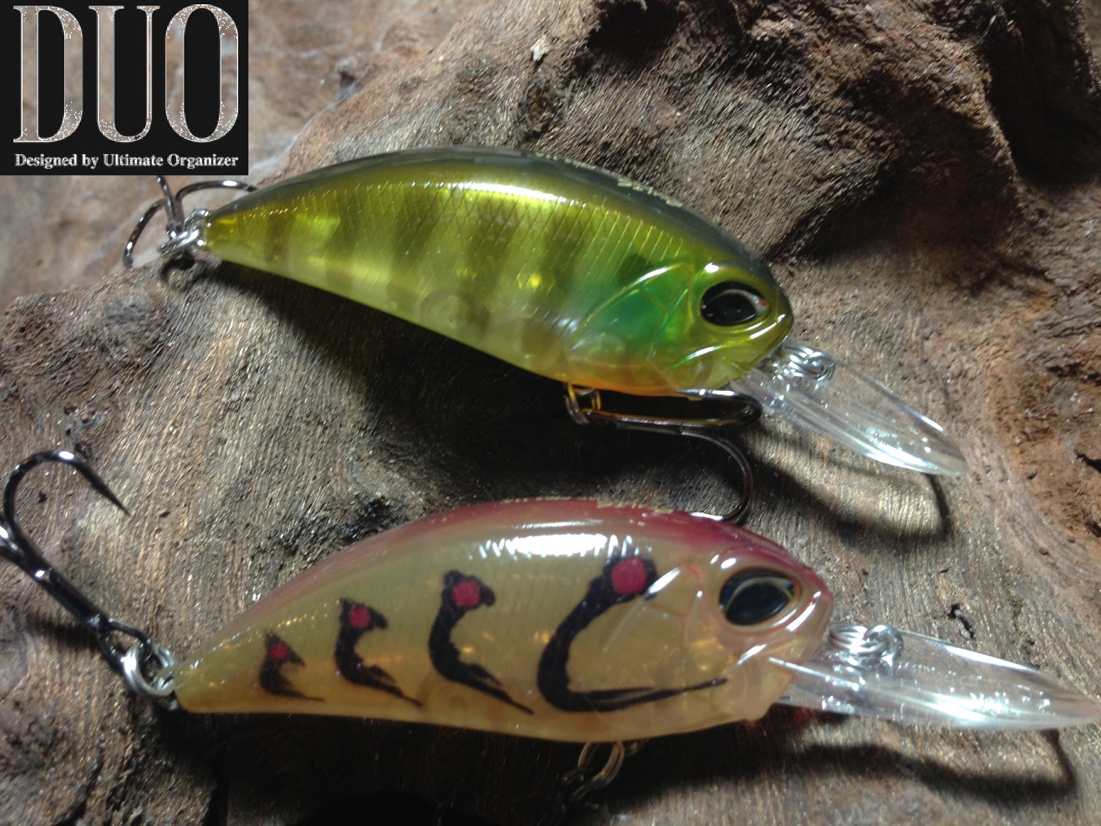 The Fish Cure: A Taste Of DUO Realis