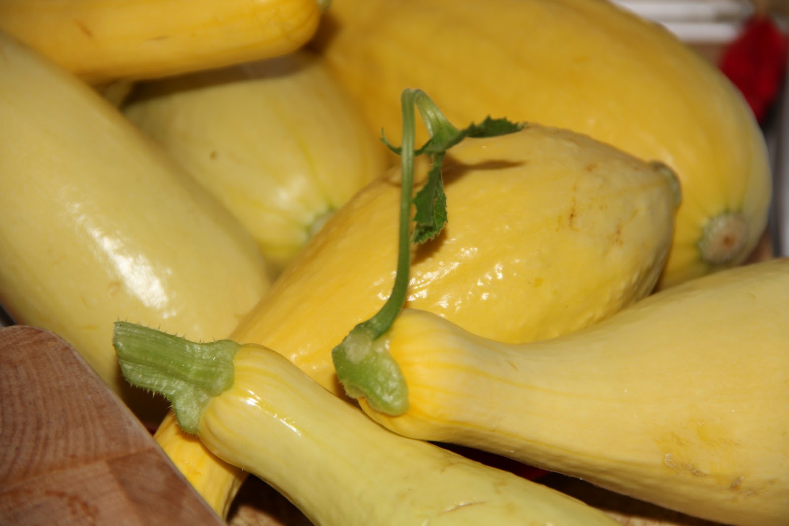 My Scenic Life...Views from a Road Less Traveled: Squash, squash, and ...