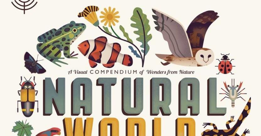 Kids' Book Review: Review: Natural World