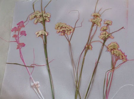 Transfer printing with The West Country Embroiderers - Totnes branch