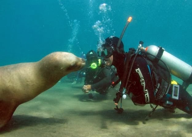 ECUADOR TURISMO: Islas Galápagos