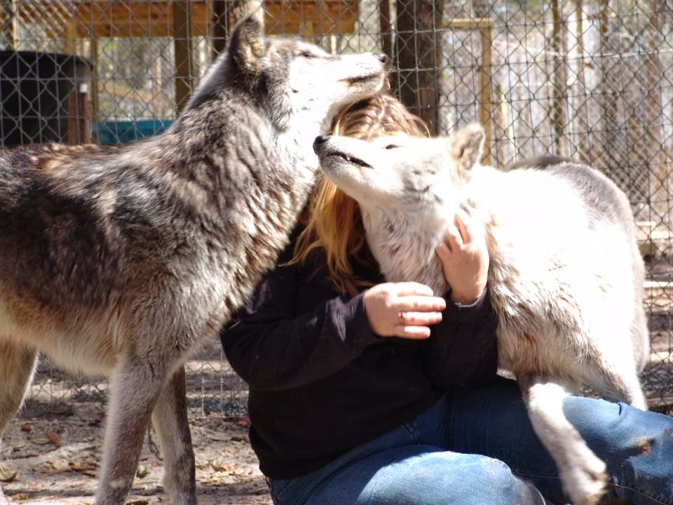 Do you believe in dog?: Scientific Approaches to Enriching the Lives of ...