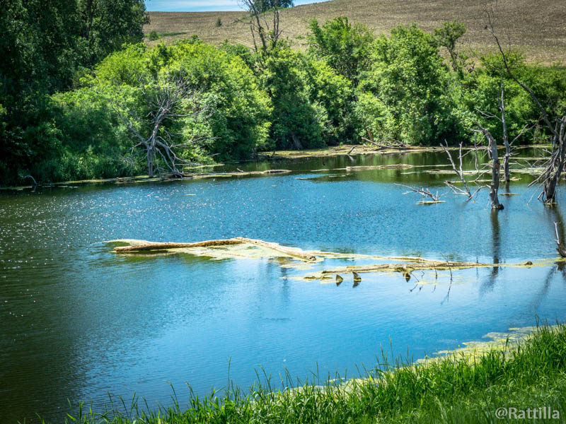 "Sun, Sand, and Swamp: Unleash Your Inner Adventurer at Florida's ...