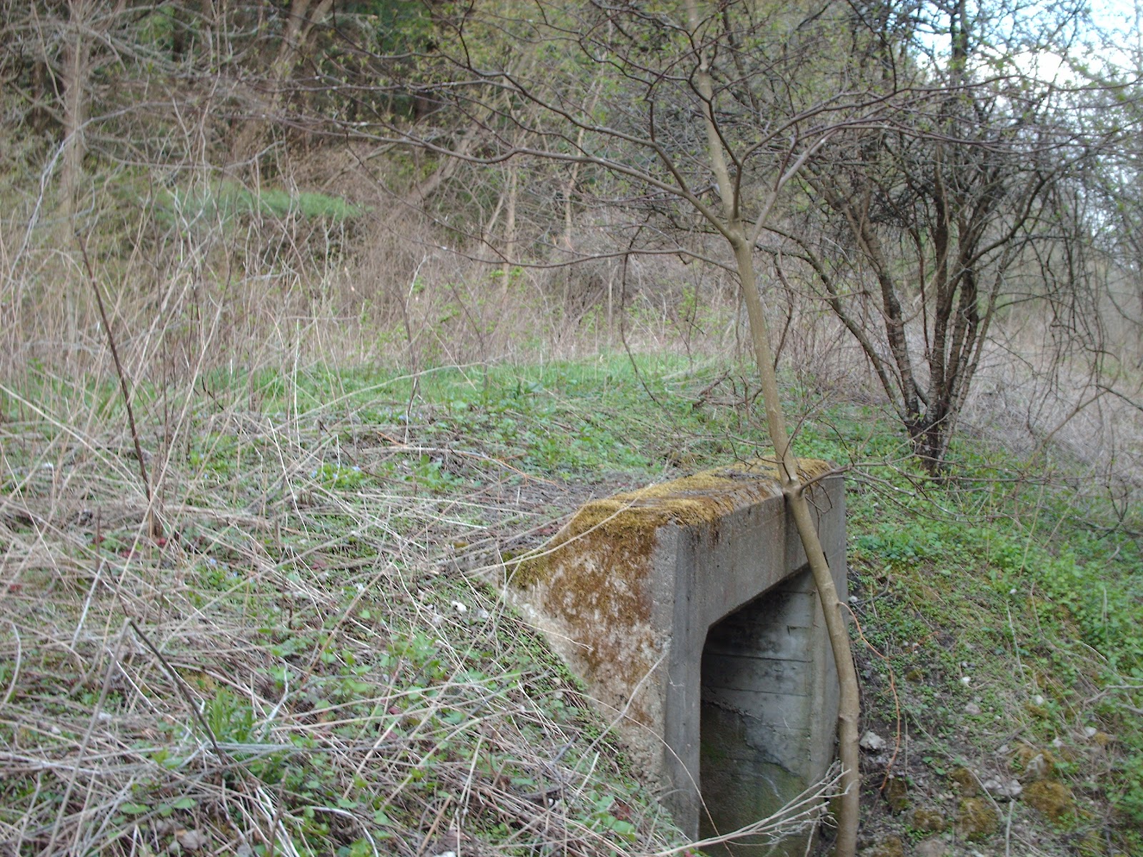 A Photographic Tour of Embro Conservation Area - Chase March - Official ...