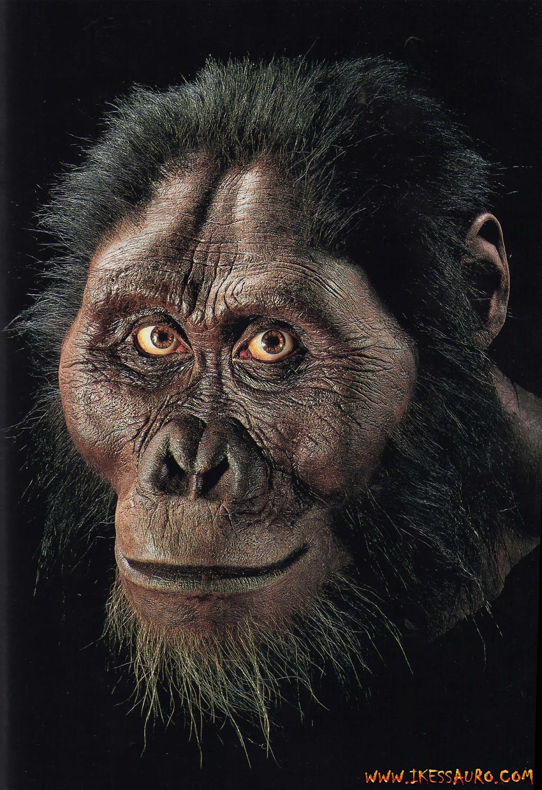 National Geographic: Face-to-face with Lucy's Family | Ikessauro