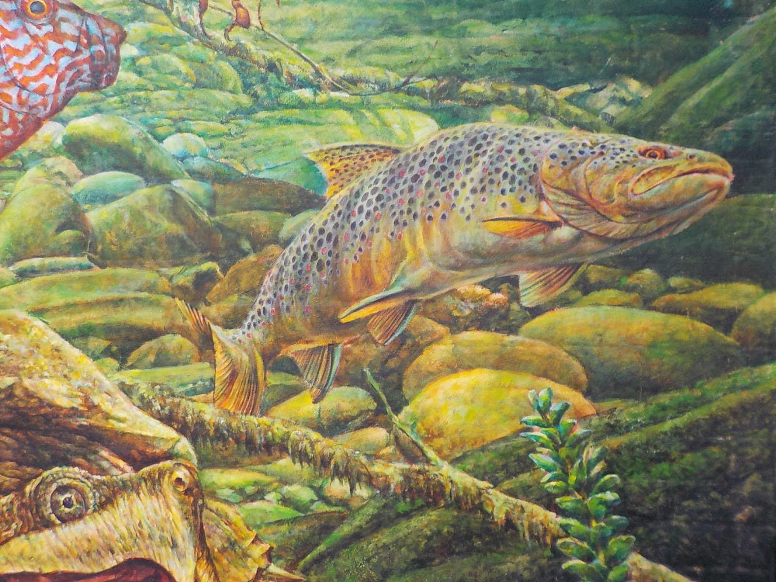 CHARLES WEISS ART: Fishy Mural on Dundas Street West , Toronto