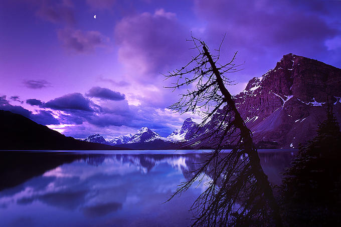 Herbcooker: America the Beautiful