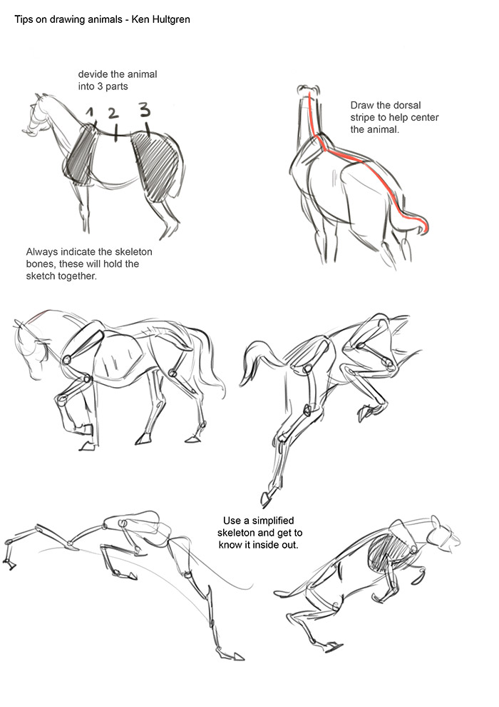 Let's Storyboard: STUDY: 4 Legged Animals