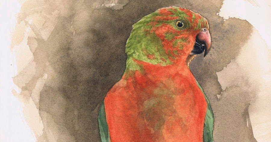 Matteo Grilli Wildlife Art: Christmas Ideas and a New Painting