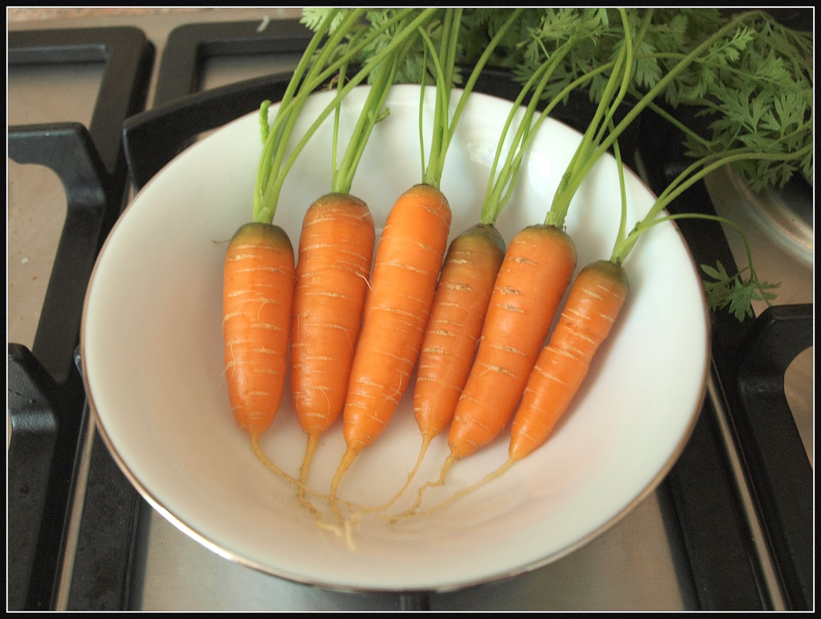 Mark's Veg Plot: Carrots - a real success story!