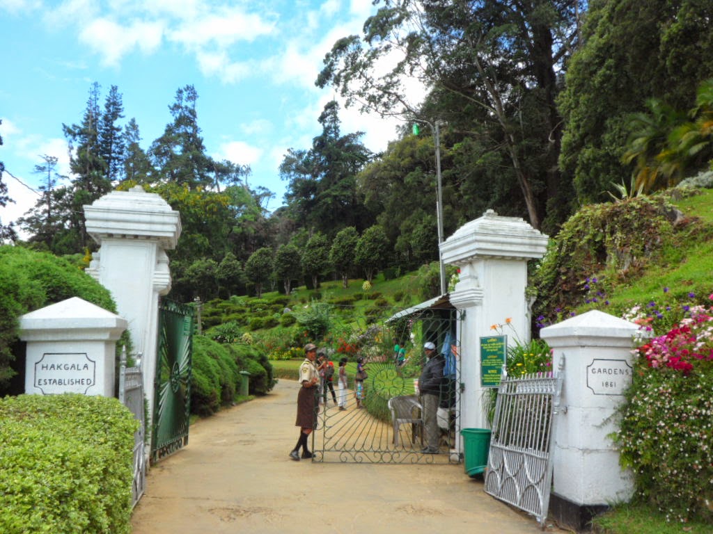Beauty Of Sri Lanka: Haggala Botanical Garden