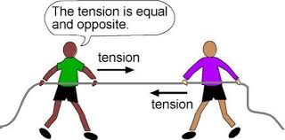 Types of Contact Force - Physics Rishi