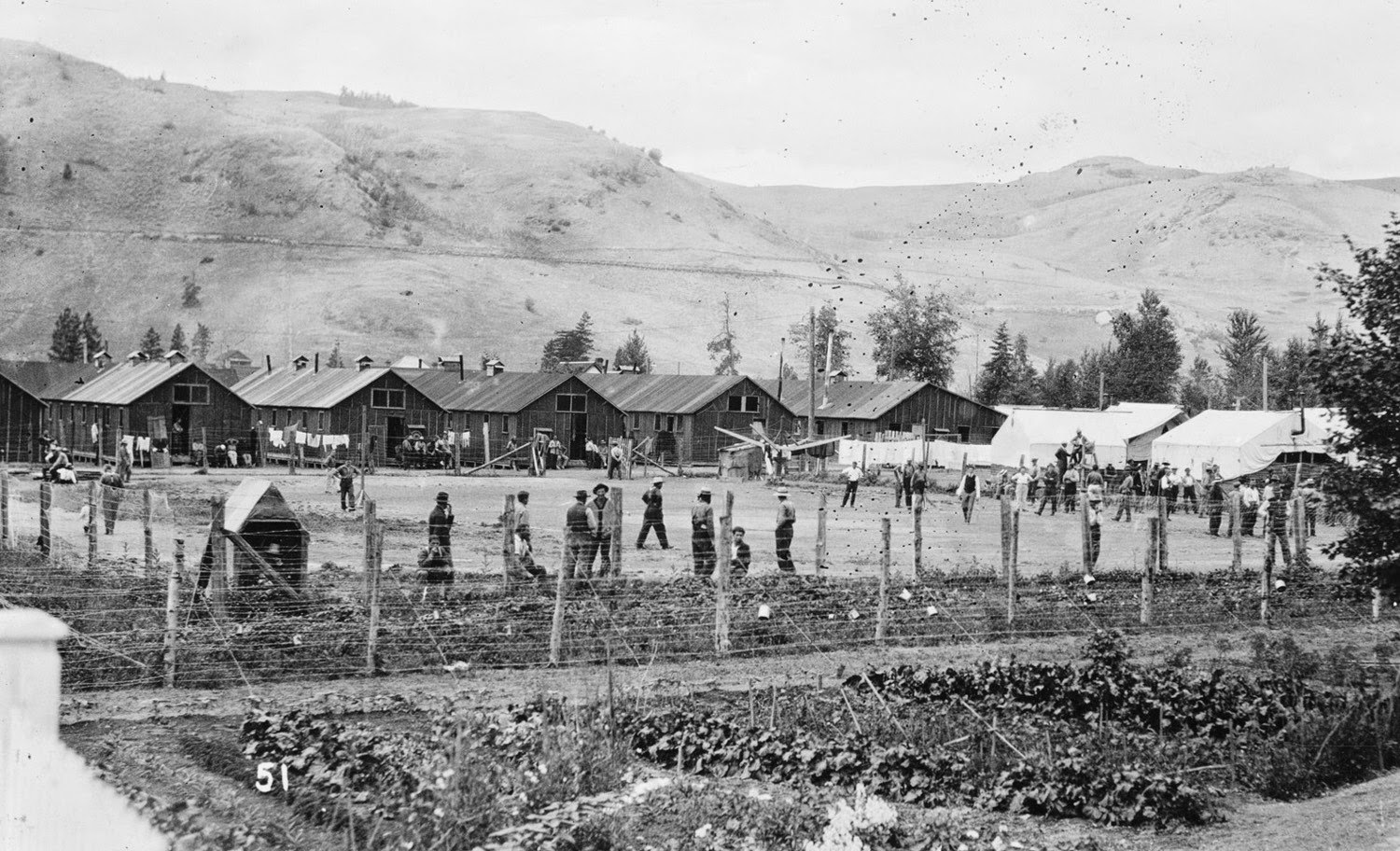 Olive Tree Genealogy Blog: WW1 Vernon Internment Camp Graves Being Restored