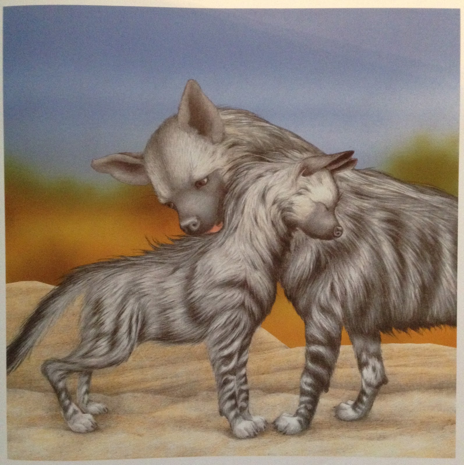 Erin's Blog: Pinduli