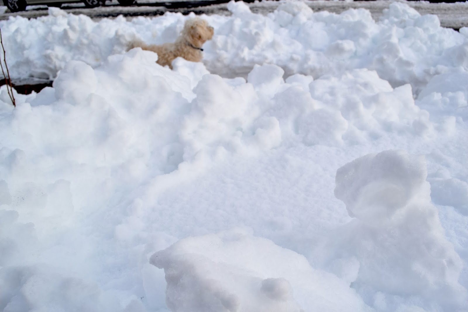 Periodical Past Times: So. Much. Snow.