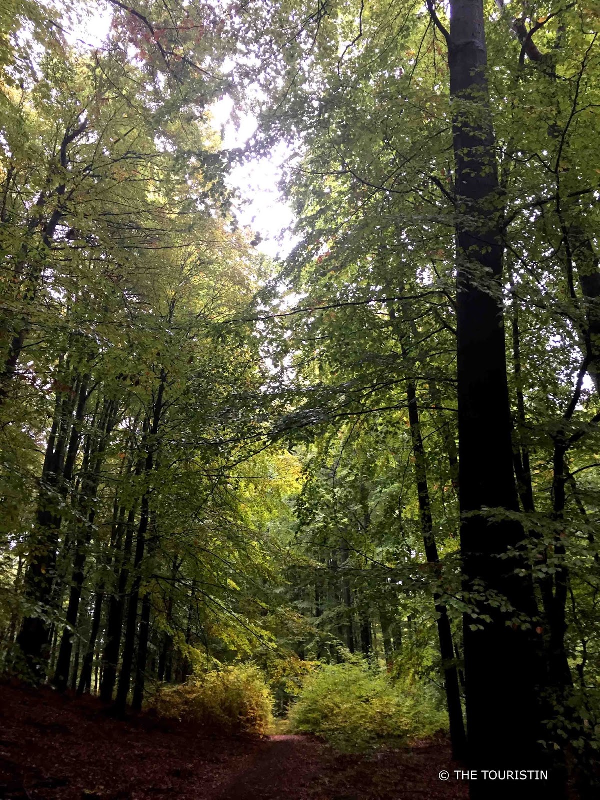 THE TOURISTIN: A Magical Place in Germany: Visit the UNESCO World ...