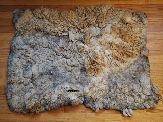 Wool love-functional fiber art: Raw Fleece Rug Redux- Part 2 of 2
