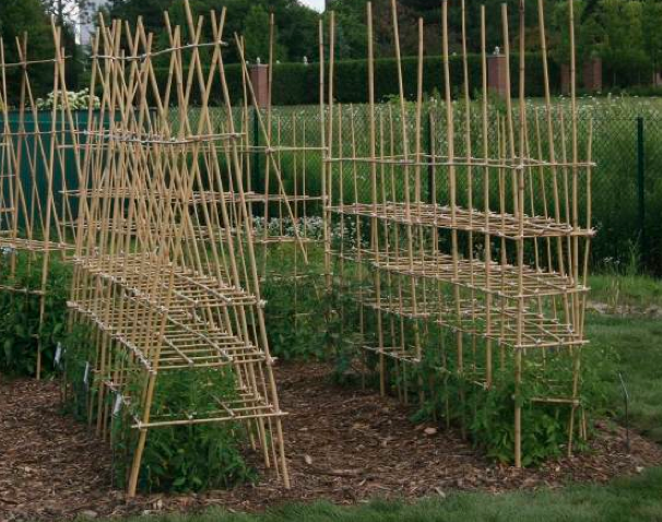 GW Community Garden: How To...